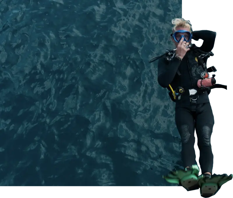 Dive School Koh Tao – Phoenix Divers | Best Diving Koh Tao